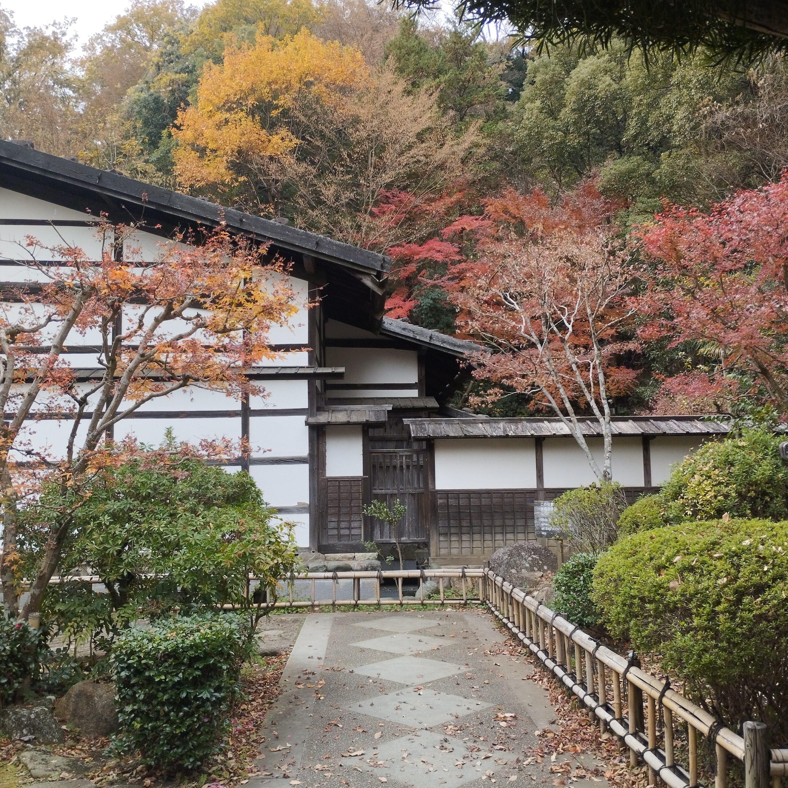 Le Japon et l’art du sakan - AD VITAM MATERIAL